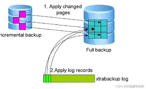 Datagrip中的mysql数据备份 Mysql数据备份工具mob64ca13f30cc8的技术博客51cto博客