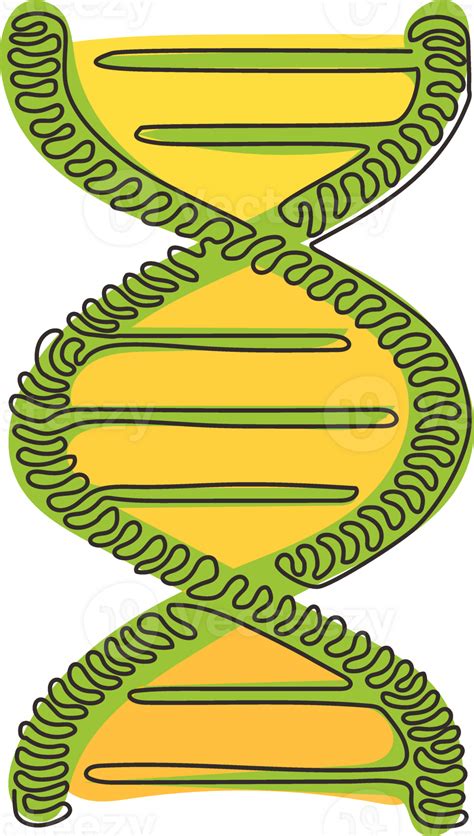 Continuous One Line Drawing Dna Icons Life Gene Model Bio Code Genetics Molecule Medical