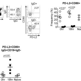 Surface Marker Profiles Of Recruited Memory B Cells In The Download Scientific Diagram