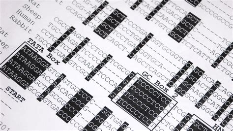 Alignment Algorithms BIOINFORMATICAMENTE