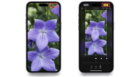 How To Crop Images In IOS