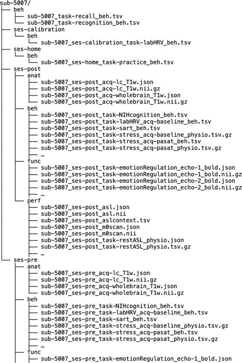 Example Of The Bids Data Structure For One Participant The Data For