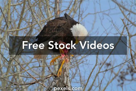Videosmassageboxtruck Videos Download The Best Free 4k Stock Video
