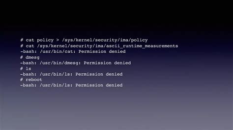 Linux Integrity Mechanisms Protecting Container Runtime As An Example PPT
