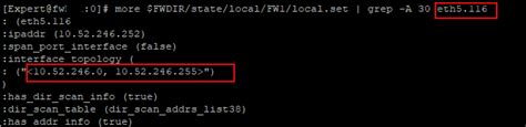 Show AntiSpoofing Networks Via CLI Check Point CheckMates