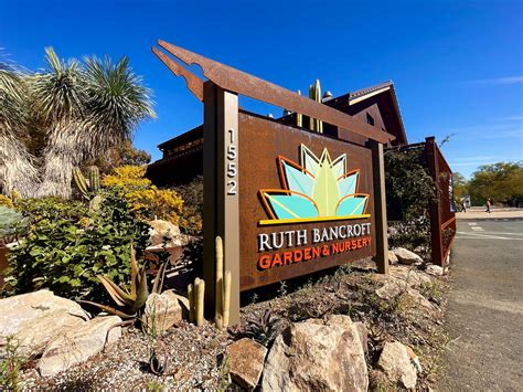 Ruth Bancroft Garden And Nursery Ca Native Plant Nursery Directory