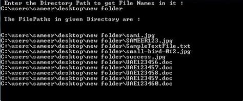 c program to get file paths in a given directory programming posts