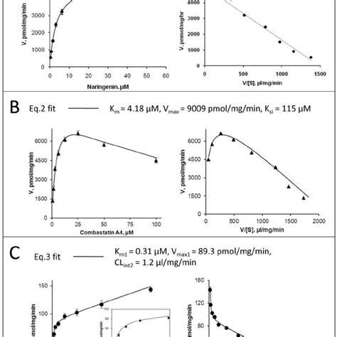 Representative Fitting Of The Model Equations Eqs1 3 To Kinetic Data Download Scientific