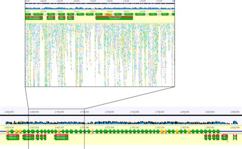 2 Screenshot Of Geneious Genome Browser View Of A Portion Of 9 Exon