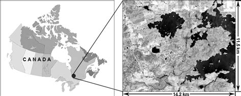 Figure 1 From A Geobia Framework To Estimate Forest Parameters From Lidar Transects Quickbird