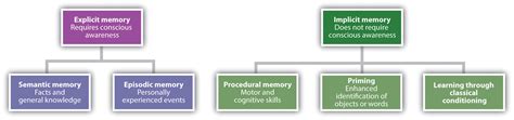 What Is The Explicit Memory System