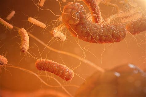 3d 그림 바이러스 박테리아 세포 감염 유기 체 면역 감소 공간에서 바이러스 추상적인 배경 3차원 형태에 대한 스톡 사진 및 기타 이미지 Istock