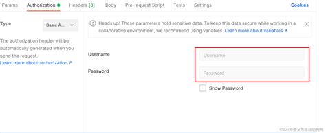 Basicauth认证实现basic Auth Csdn博客