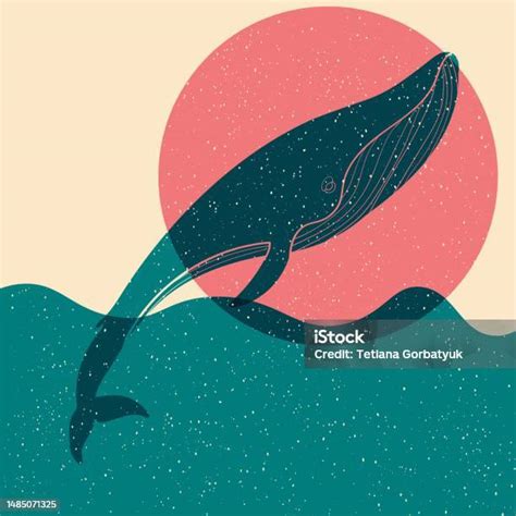 큰 고래가 물에서 뛰어 내립니다 다채로운 귀여운 스크린 인쇄 효과 레트로 프린트 효과 벡터 그림입니다 직물 섬유 의류 포장지 벽지 포스터를 위한 그래픽 요소 고래에 대한