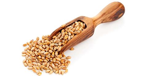 548 Easy Wheat Recipes For A Nutritious Meal From Samsung Food Community