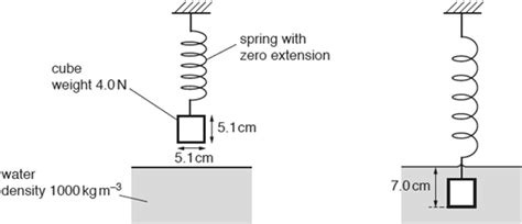 A Spring Is Attached At One End To A Fixed Point And Hangs Vertically