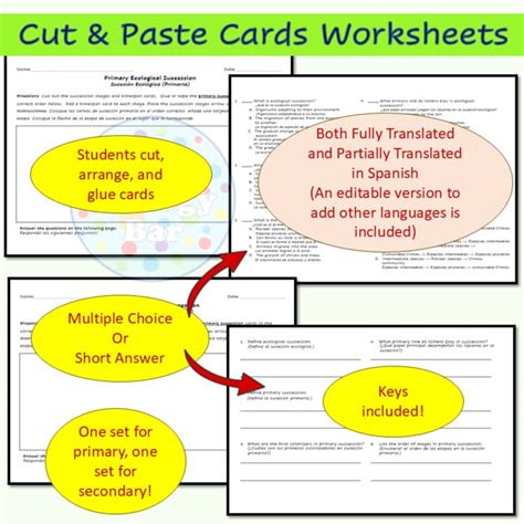 ESL ELL Biology Primary Secondary Succession Card Sort And Worksheet
