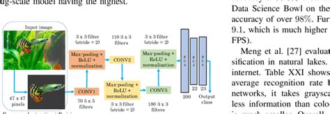 Flow Of The Deep Cnn Model 45 Download Scientific Diagram