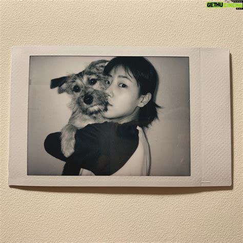 Bae Da Bin Gethu Cinema