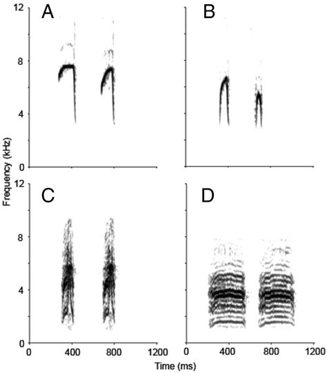 Sound Spectrogram Transform Length 512 Points Of The Four Component