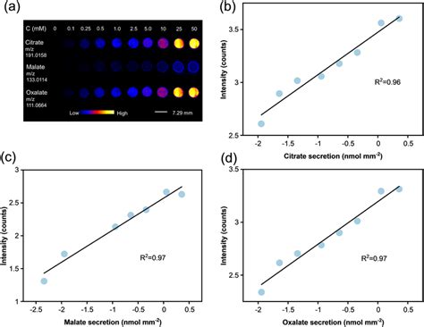 Linear Correlations Between The Intensities Of The Calibration Download Scientific Diagram