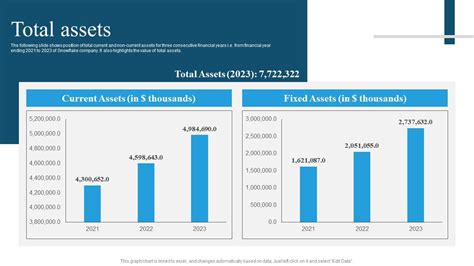 Snowflake Company Profile Total Assets Ppt Graphics Cp Ss Ppt Slide