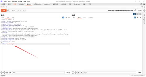 litctf 2024（公开赛道）部分 wp [litctf 2024]女装照流量 csdn博客