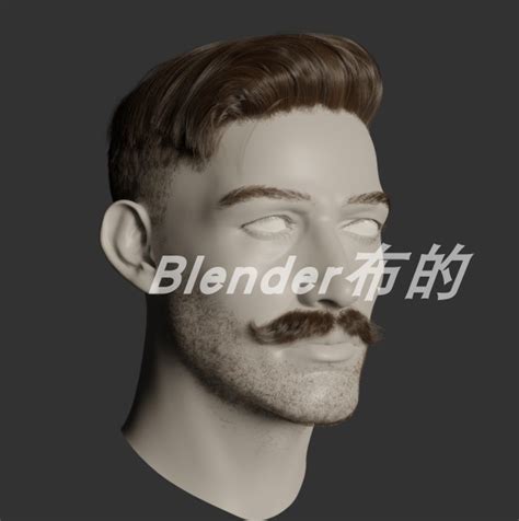 真实毛发头发着色器 群友购买分享到网站 Blender布的