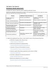 Epithelial Tissues Analysis And Characteristics Course Hero