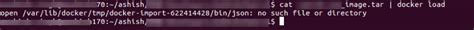 error response from daemon open var lib docker tmp docker import bin