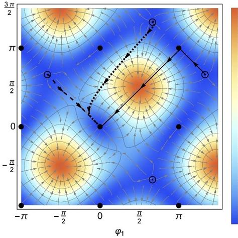 the potential v ϕ 1 ϕ 2 and its gradient flow v for the case of