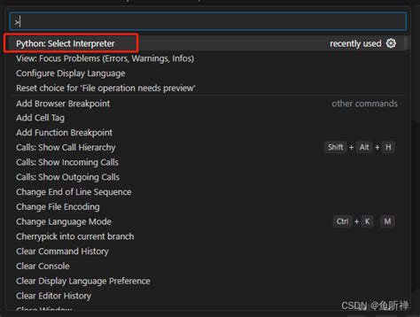 Python学习笔记 Windows下virtualenvvscode中虚拟环境配置vscode Virtualenv Csdn博客