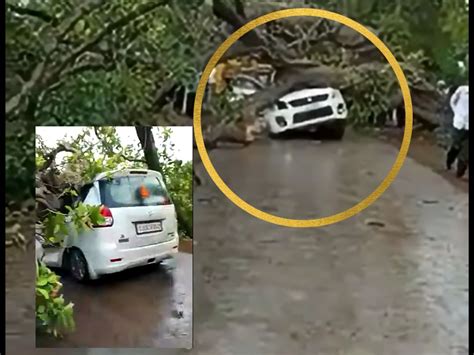 मसळधर पऊस अन ससटयच वर नदरबरमधय चलतय करवर झड कसळल एक ठर Cyclone