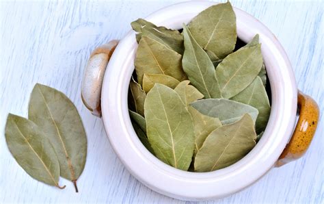 Bay Leaf18 Benefits Side Effects And How To Use It Safely