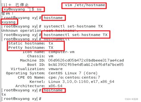 Linux服务器配置与管理（第四次实验）linux 实验四 虚拟主机配置 Csdn博客