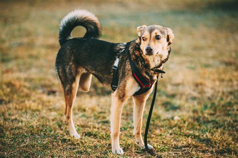 Amputation Surgery What To Expect During And After The Procedure