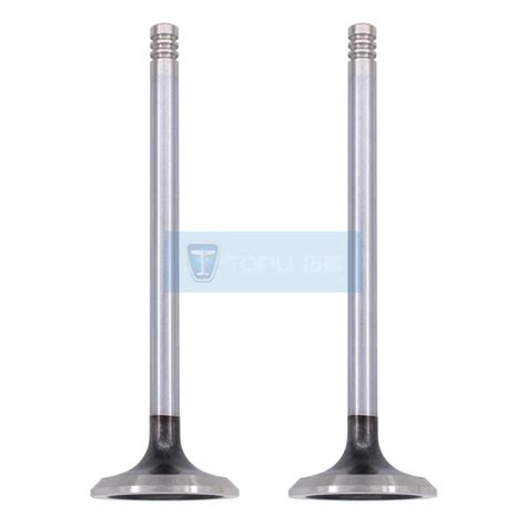 N54 Intake Valves Manufacturer And Supplier In China Suzhou Topu Engine
