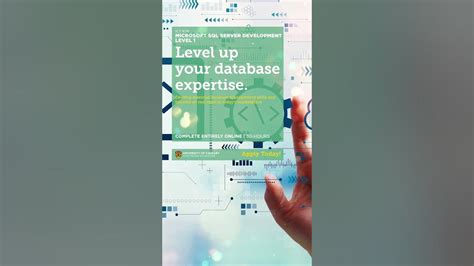 Level Up Your Tech Skills With Our Online Sql Programming Language