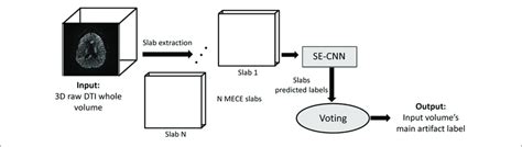 A Schematic Overview Of The Proposed Multiclass Volumetric Dmri Download Scientific Diagram