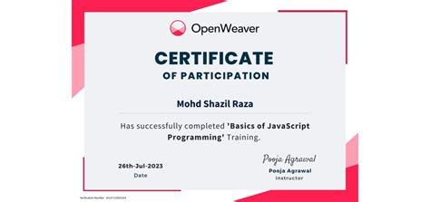 Shazil Raza On Linkedin Basics Of Javascript Programming Bootcamp