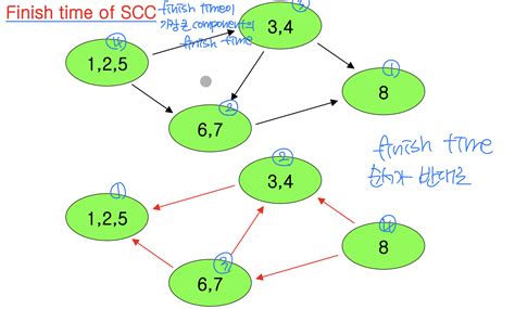 Algorithm 07 Elementary Graph Algorithm