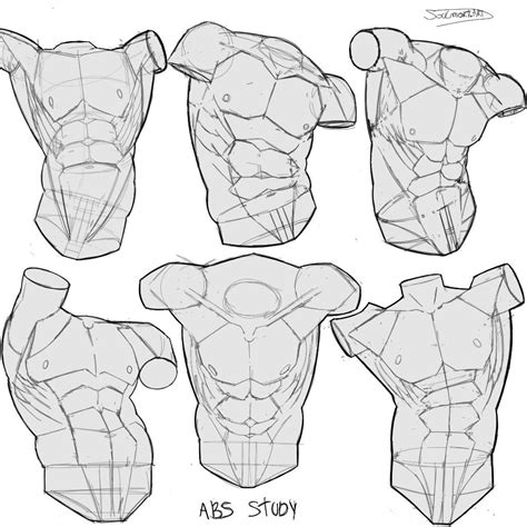 Abs Study Soulmortart In 2023 Body Reference Drawing Drawing