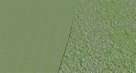 Grass Bitmap Scale Autodesk Community