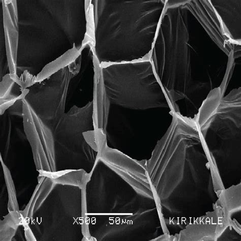 X500 Microstructure Image For The Expanded Polystyrene A 16 Kg M³ Download Scientific