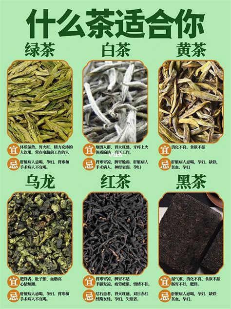 六大茶类㊙️什么茶适合你呢？ 花瓣网