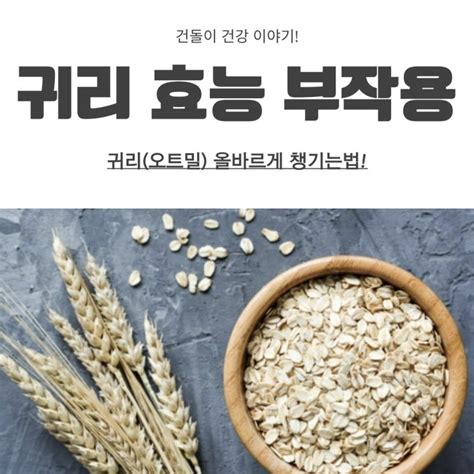 귀리 효능 부작용 정보와 귀리 칼로리 먹는법 정리 네이버 블로그