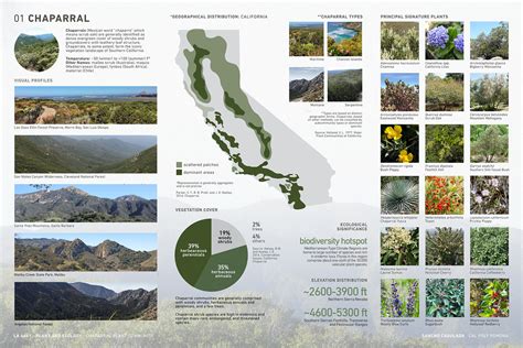 Infographic Chaparral Plant Community On Behance