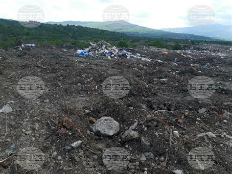 Община Перник обяви обществена поръчка за фирма която да третира