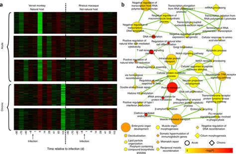 Gene Coexpression Modules With Differential Expression Before And After Download Scientific