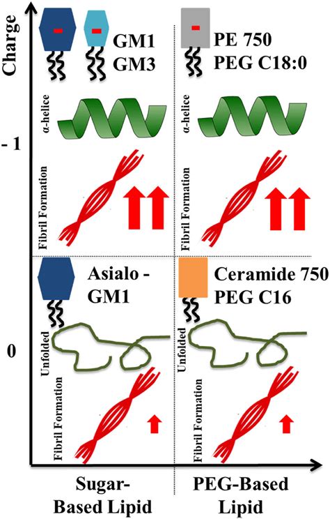 Summary Of The Results Obtained For The Aggregation Kinetics And